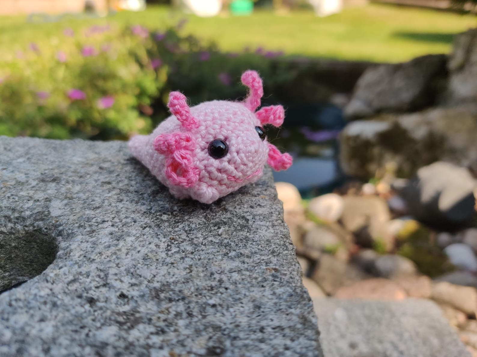 Cute Crochet Axolotl Amigurumi Pattern Beginners Crochet - Etsy