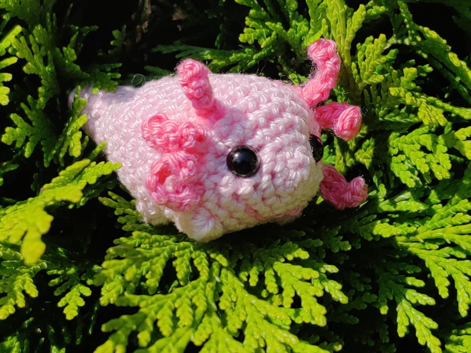 Cute Crochet Axolotl Amigurumi Pattern Beginners Crochet - Etsy