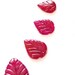 Ruby Carved Leaf Lot, Jewelry Making (17x11 to 9x7 Mm) - Etsy