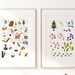 Woodland Alphabet Poster Set of 2 Green ABC and 123 Numbers Animal ...