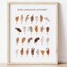 American Sign Language ASL ABC Alphabet Poster Educational Print ...