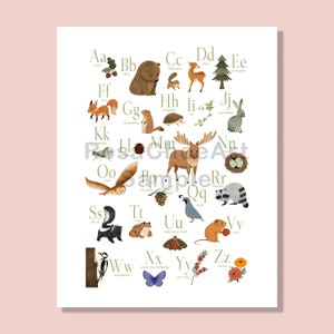 Woodland Alphabet Poster Set of 2 | Green ABC and 123 Numbers| Animal ...