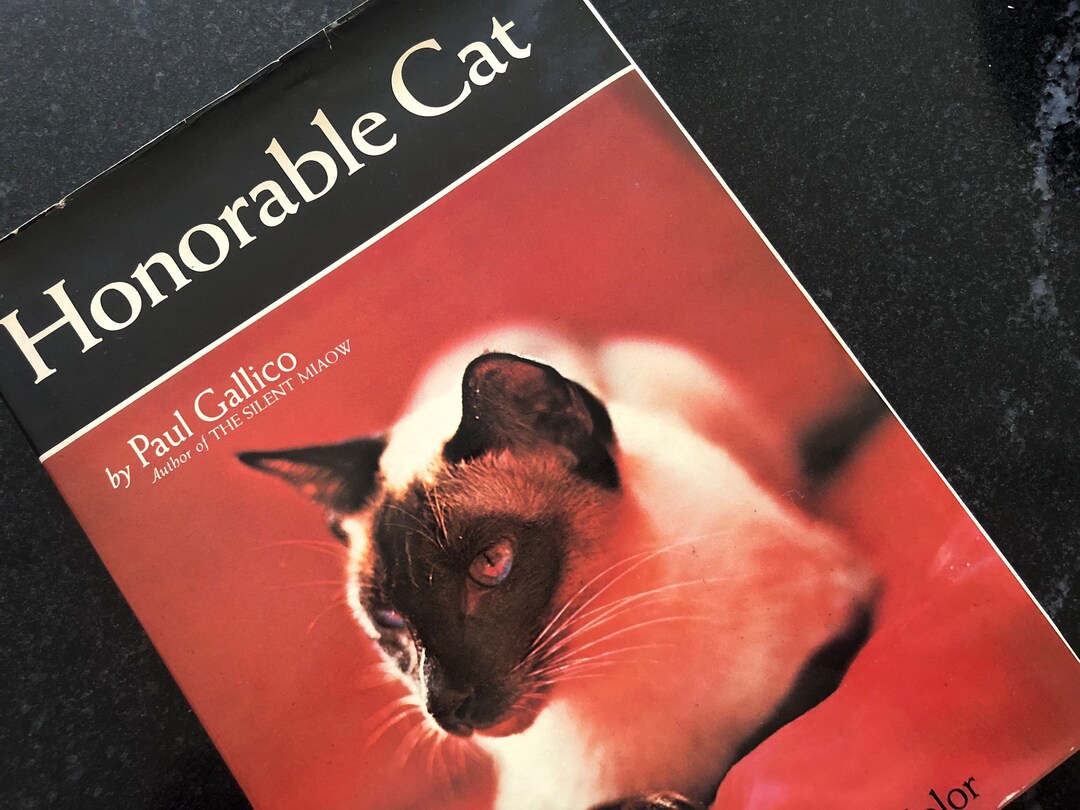 Paul Gallico "the Honorable Cat", Colored Photographs - Book for Cat ...