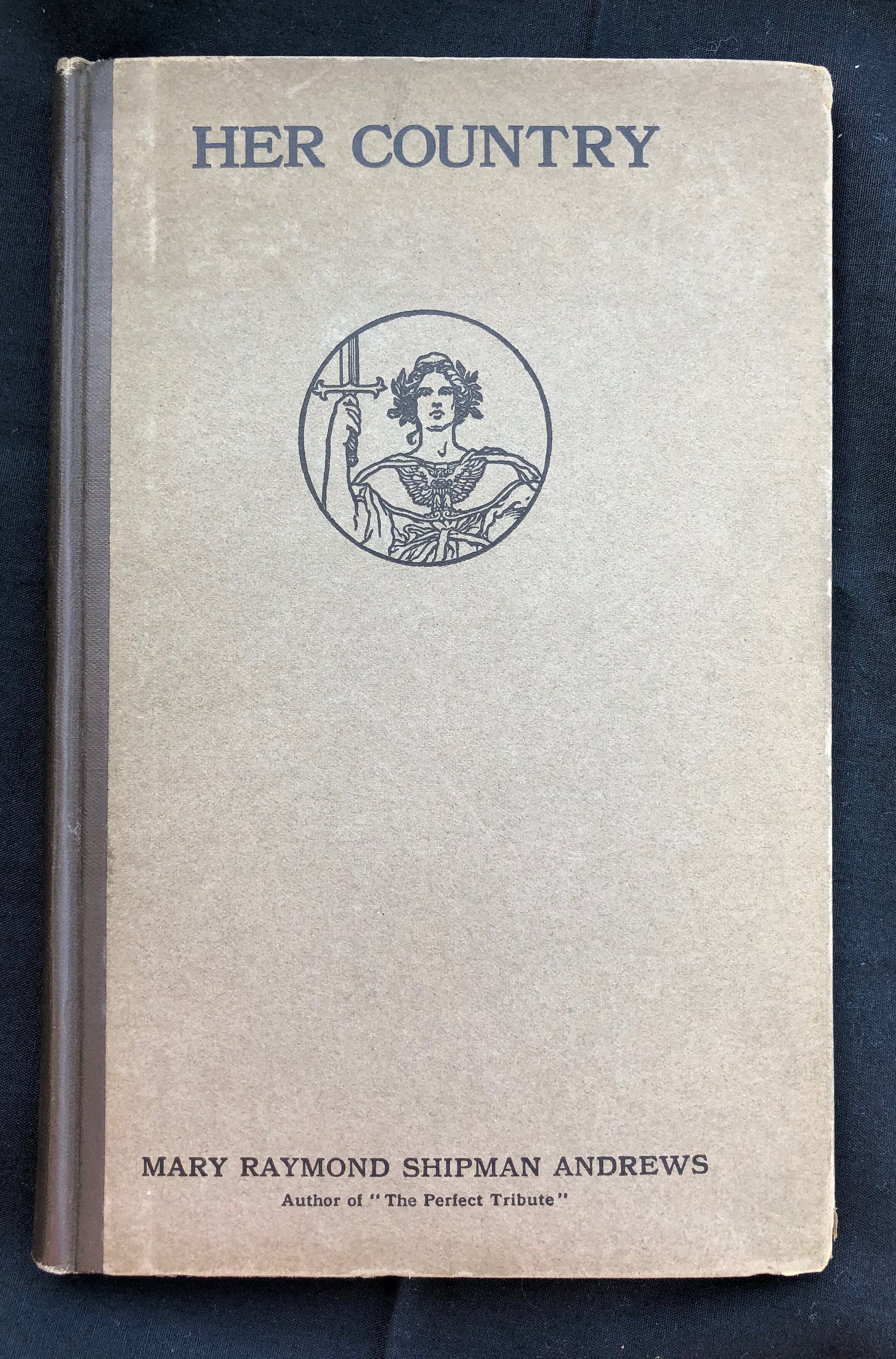 Mary Raymond Shipman Andrews Book Set: 4 Old Glory Her - Etsy