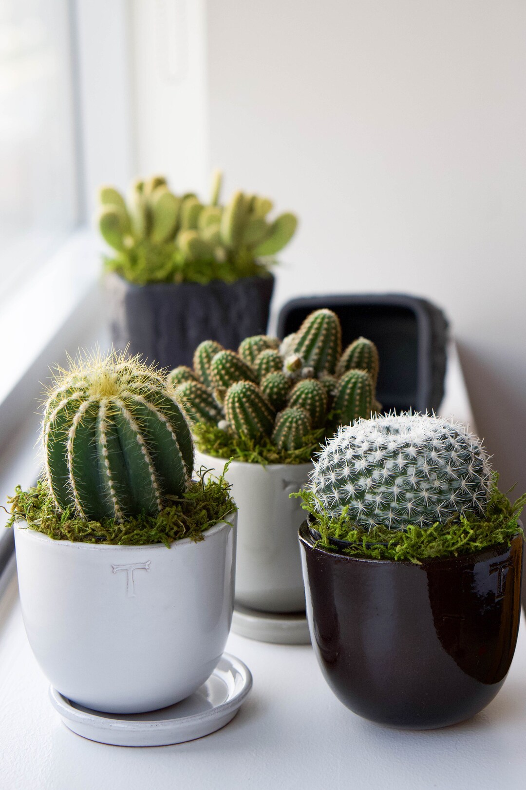 ROUND PLANTER, 4 Inch Planter, Pot With Drainage and Saucer, Ceramic ...