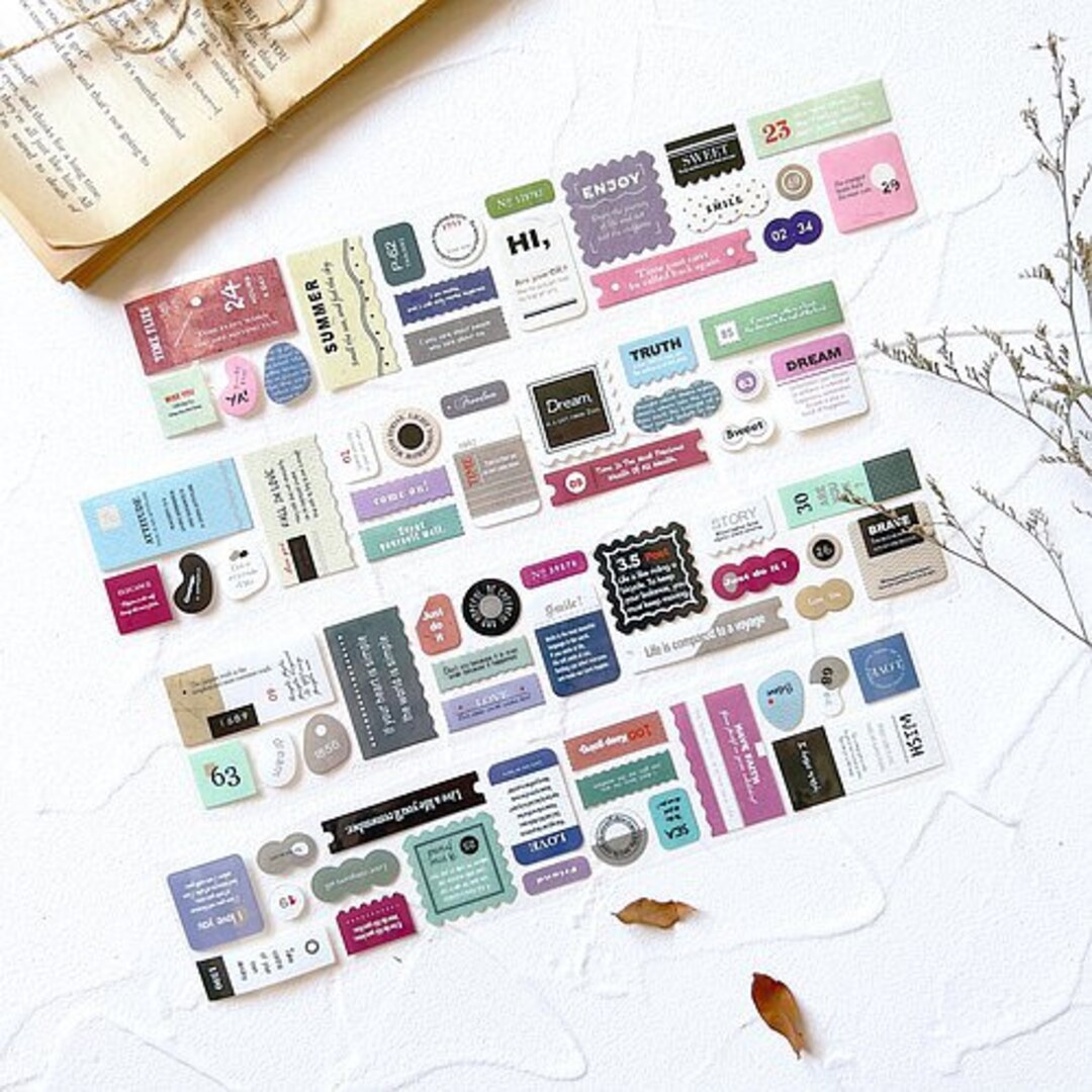 Sonia Color Label PET Sample 1 Loop 100cm - Etsy