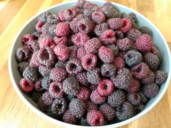 Raspberry Seeds