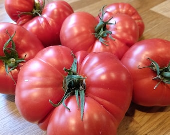 Brandywine OTV Heirloom Tomato Seeds - Etsy