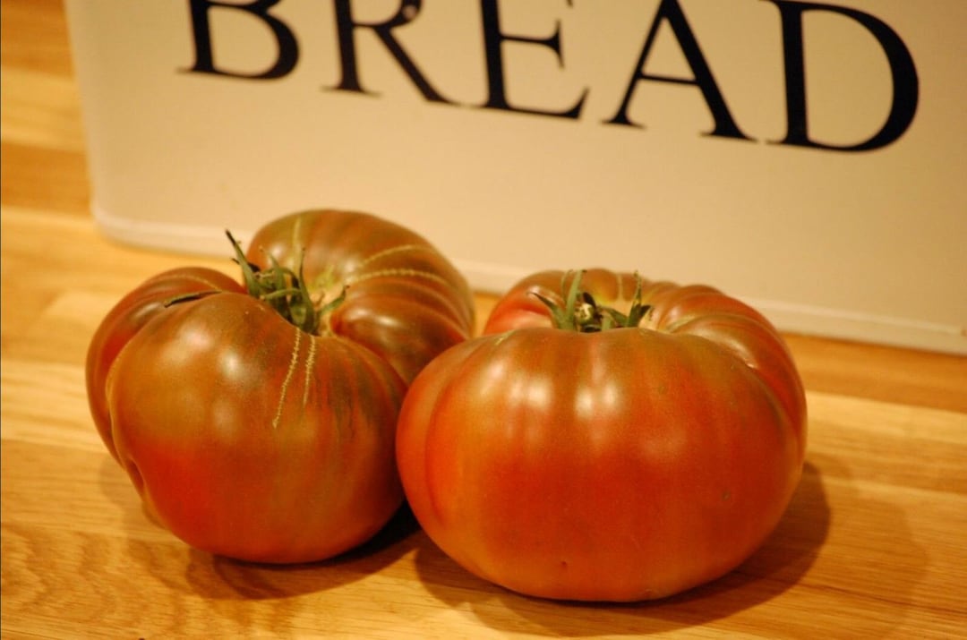 Paul Robeson Tomato (30 Seeds) - Etsy