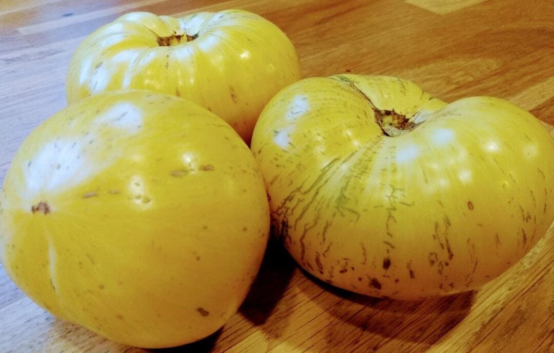 Pineapple Pig Tomato Seeds - Etsy