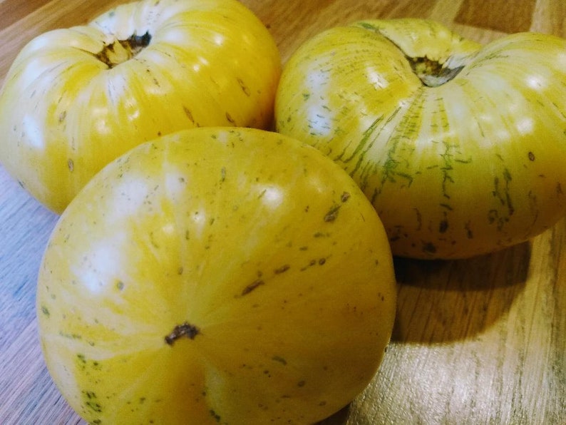 Pineapple Pig Tomato Seeds - Etsy