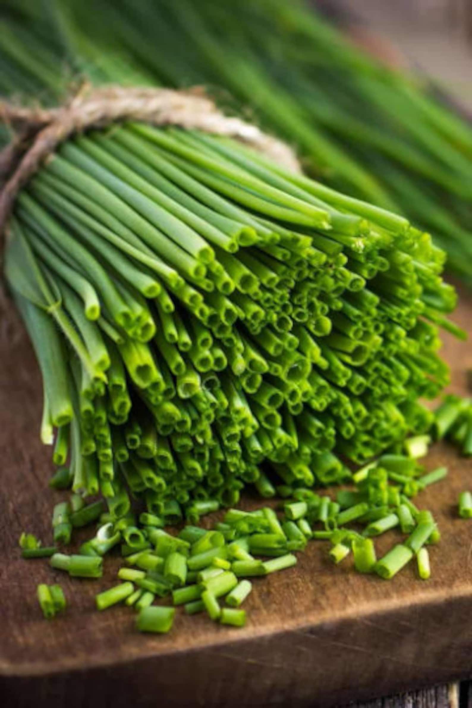 French herbs Seeds Chives bulb Chives Seeds Organic 300 seeds | Etsy