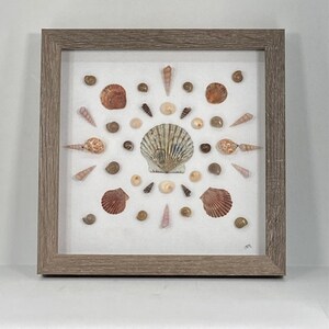 Assorted Shell Collage Mandala - Etsy