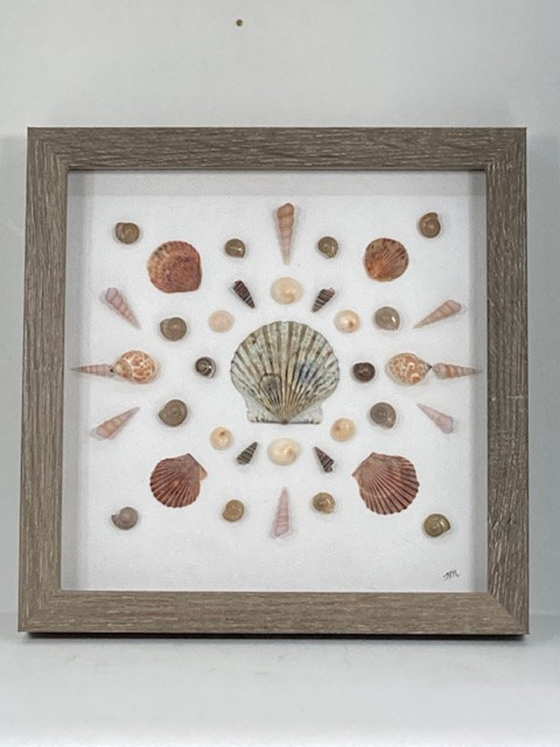 Assorted Shell Collage Mandala - Etsy