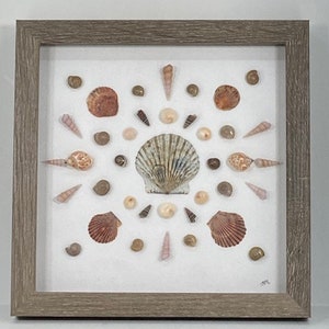 Assorted Shell Collage Mandala - Etsy