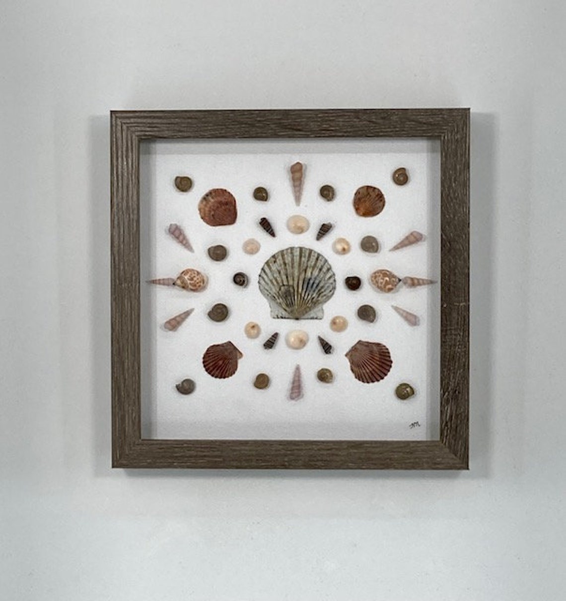 Assorted Shell Collage Mandala - Etsy