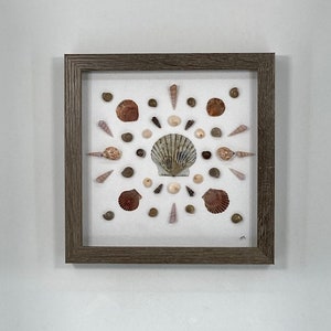 Assorted Shell Collage Mandala - Etsy