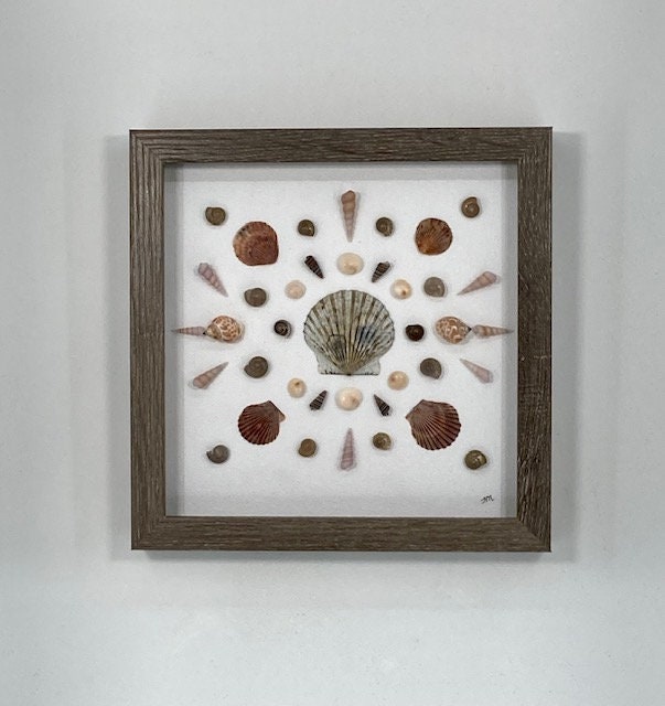 Assorted Shell Collage Mandala - Etsy