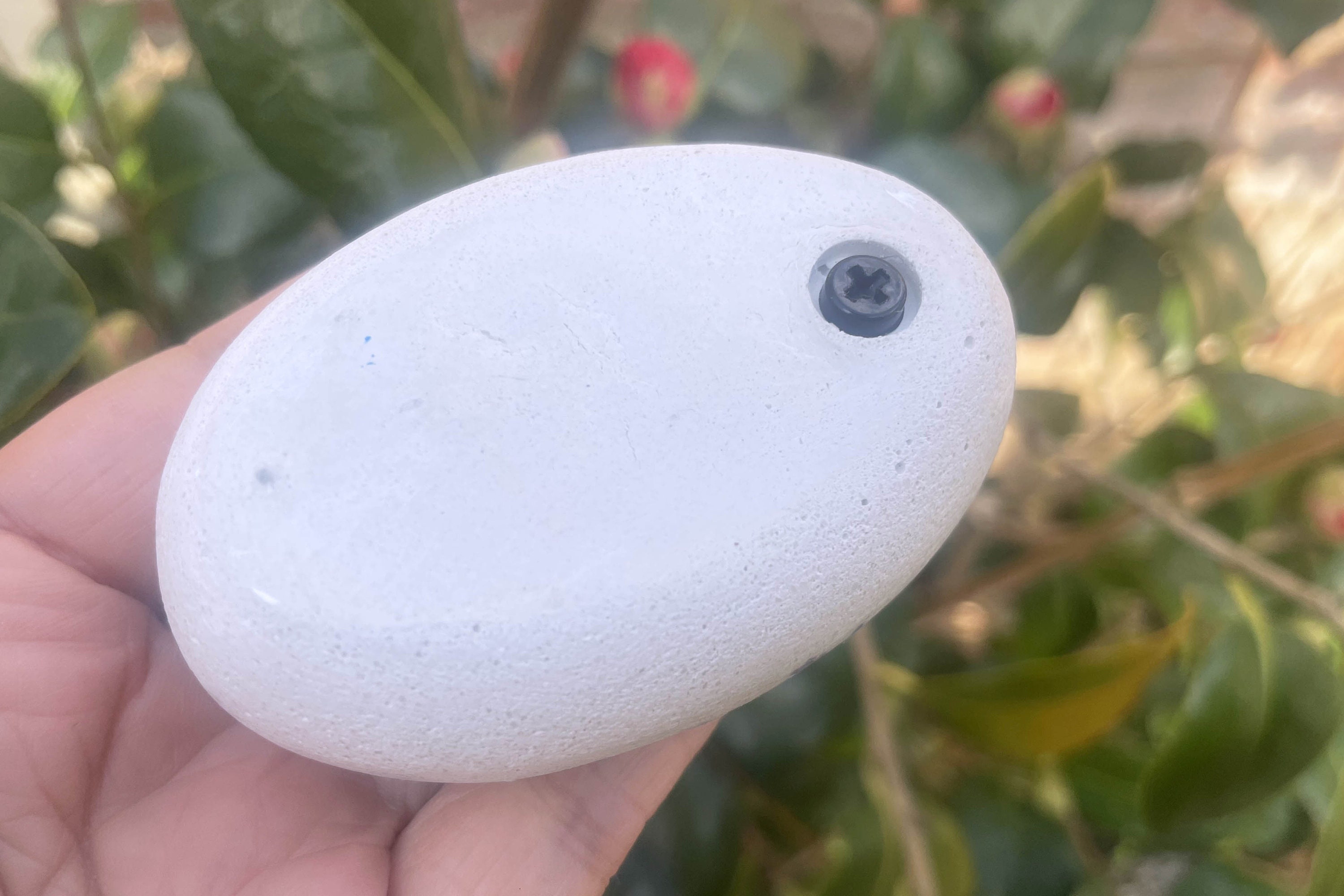 Forget Me Not Garden Pebble/stone Urn Cremation Memorial | Etsy