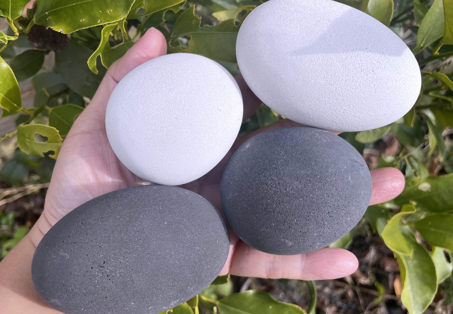 Cremation Art Stone/pebble Urn for Rock Painting, Cremation Memorial ...