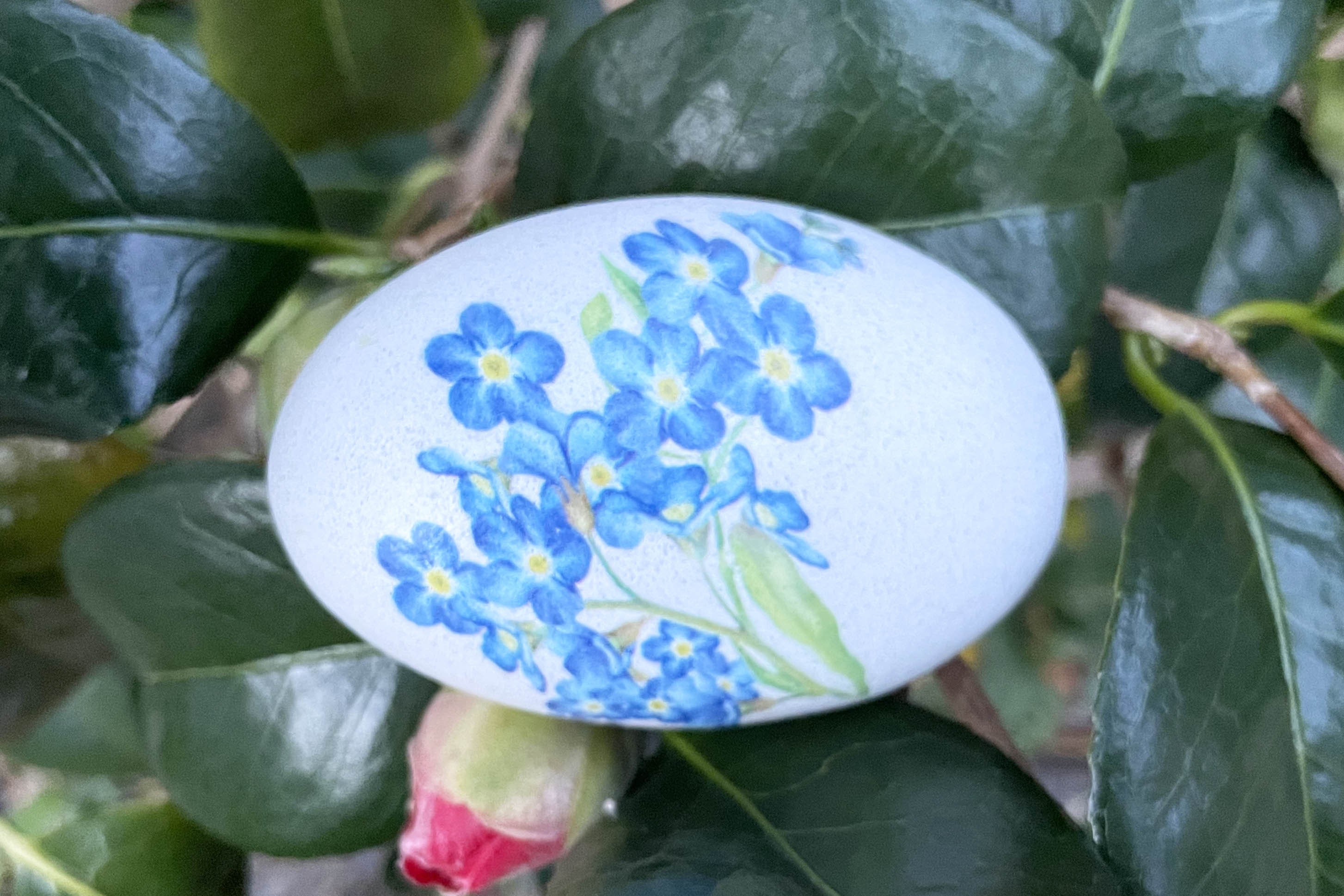 Forget Me Not Garden Pebble/stone Urn Cremation Memorial | Etsy