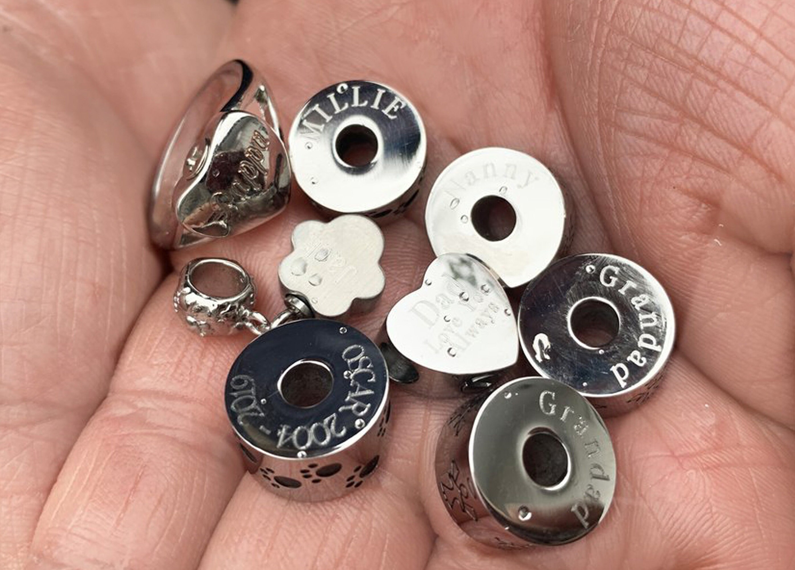 Pet Paw Cage Locket With Inner Gold Capsule Cremation Memorial - Etsy