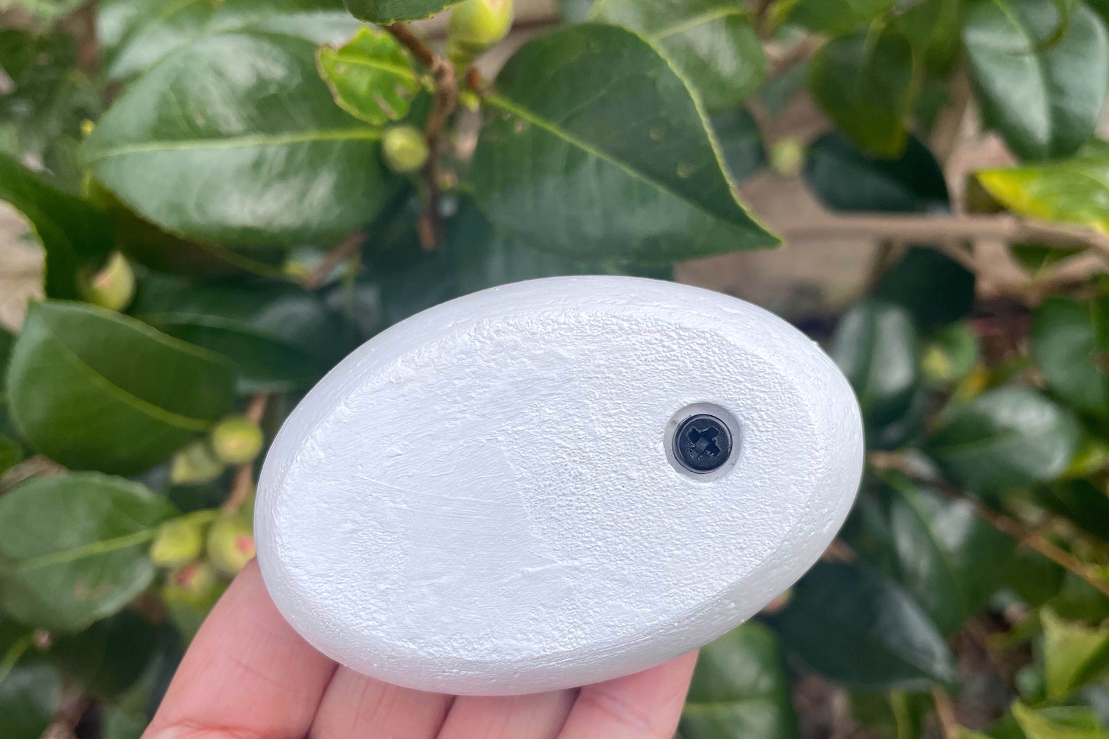 Robins Appear Pebble/stone Urn, Cremation Memorial Ashes Keepsake Mini ...