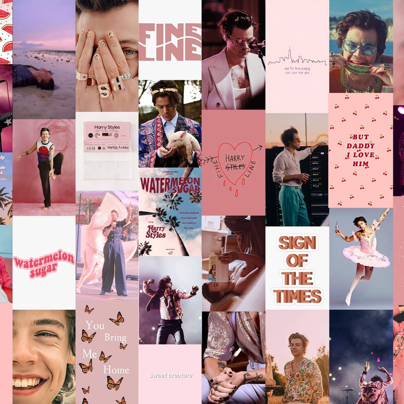 Harry Styles Room Decor - Etsy