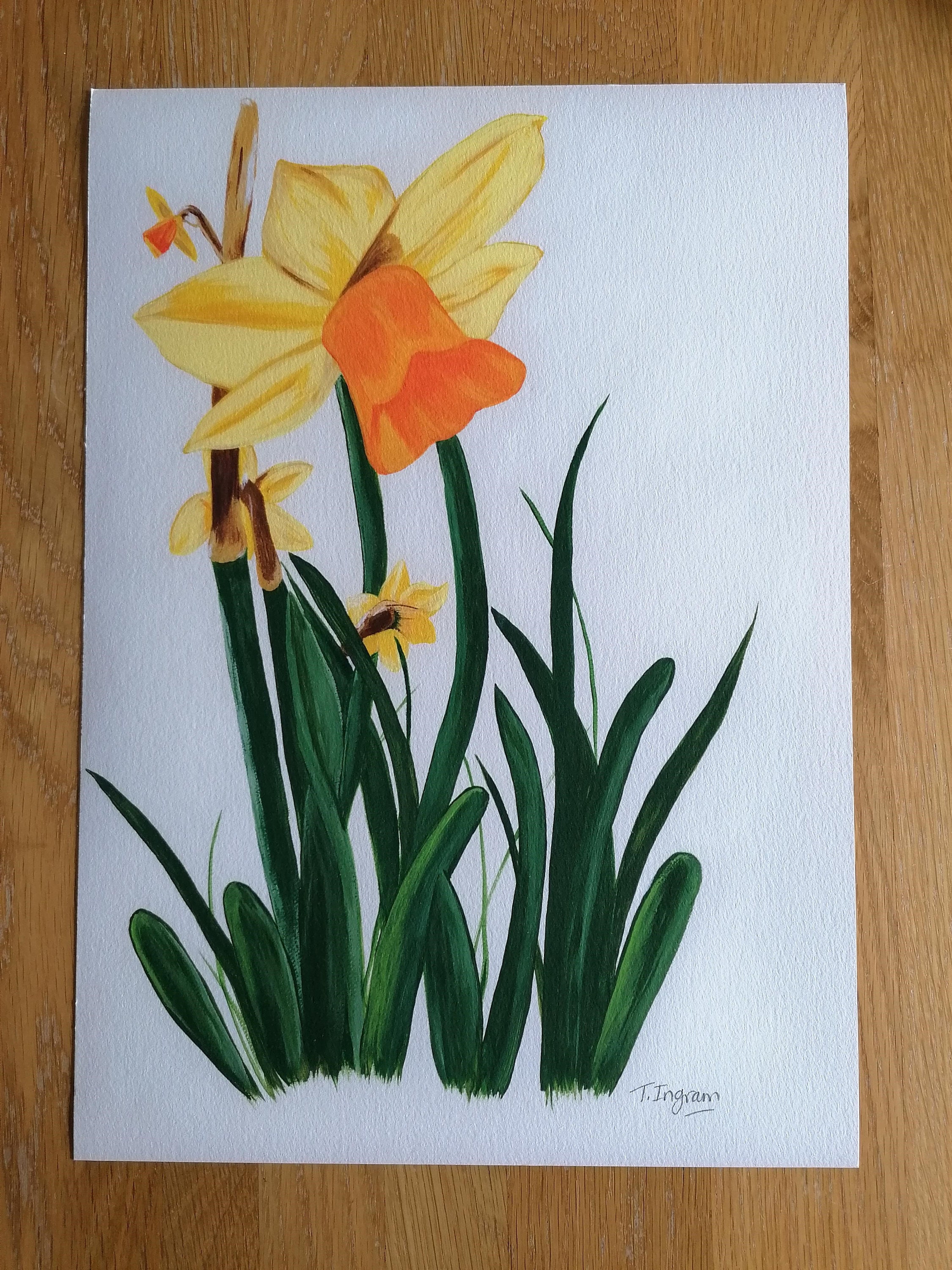 Print Daffodil Art Print Acrylic Art Print - Etsy
