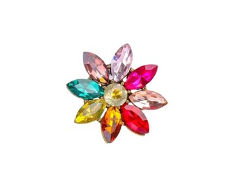 Ladybug Magnet for Pageant Contestant Number Sashes Fashion Accessory ...