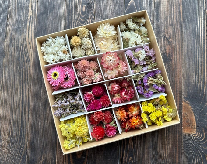Craft Dried Flowers Box, Dried Flowers Confetti, Candle Making Kit, DIY ...