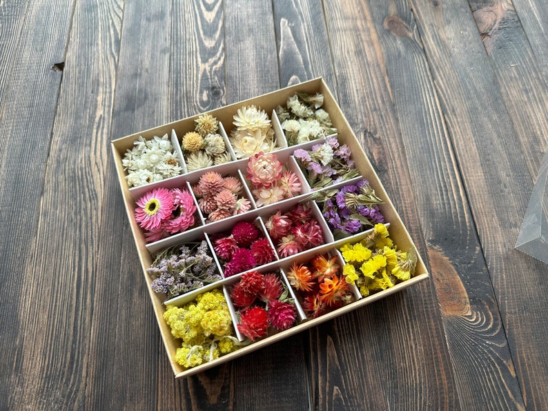 Craft Dried Flowers Box, Dried Flowers Confetti, Candle Making Kit, DIY ...