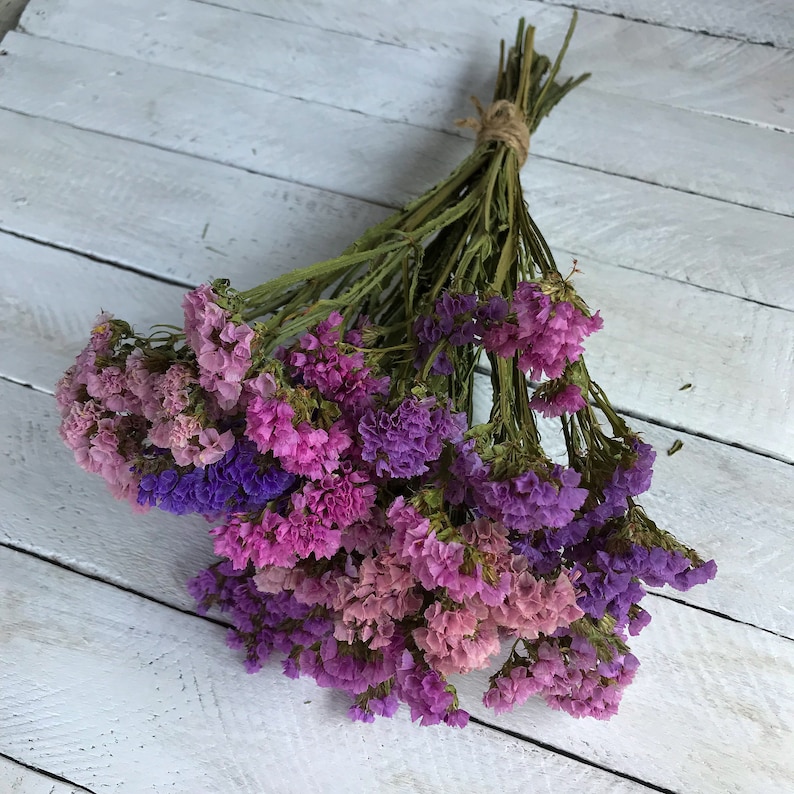 Dried Statice Bouquet Pink Limonium Dry Flower Bunch | Etsy
