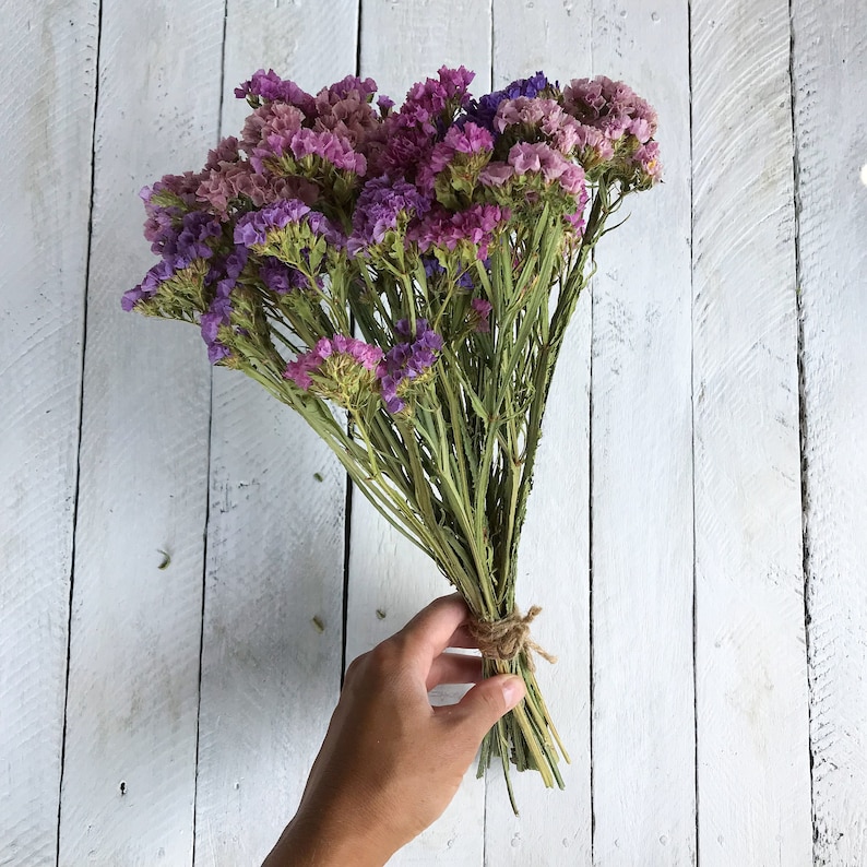 Dried Statice Bouquet Pink Limonium Dry Flower Bunch | Etsy