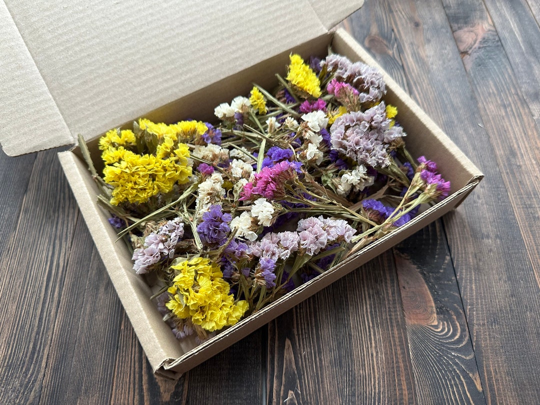 Dried Statice Heads Craft Box, Resin Dried Flowers, Craft Supply, Home ...
