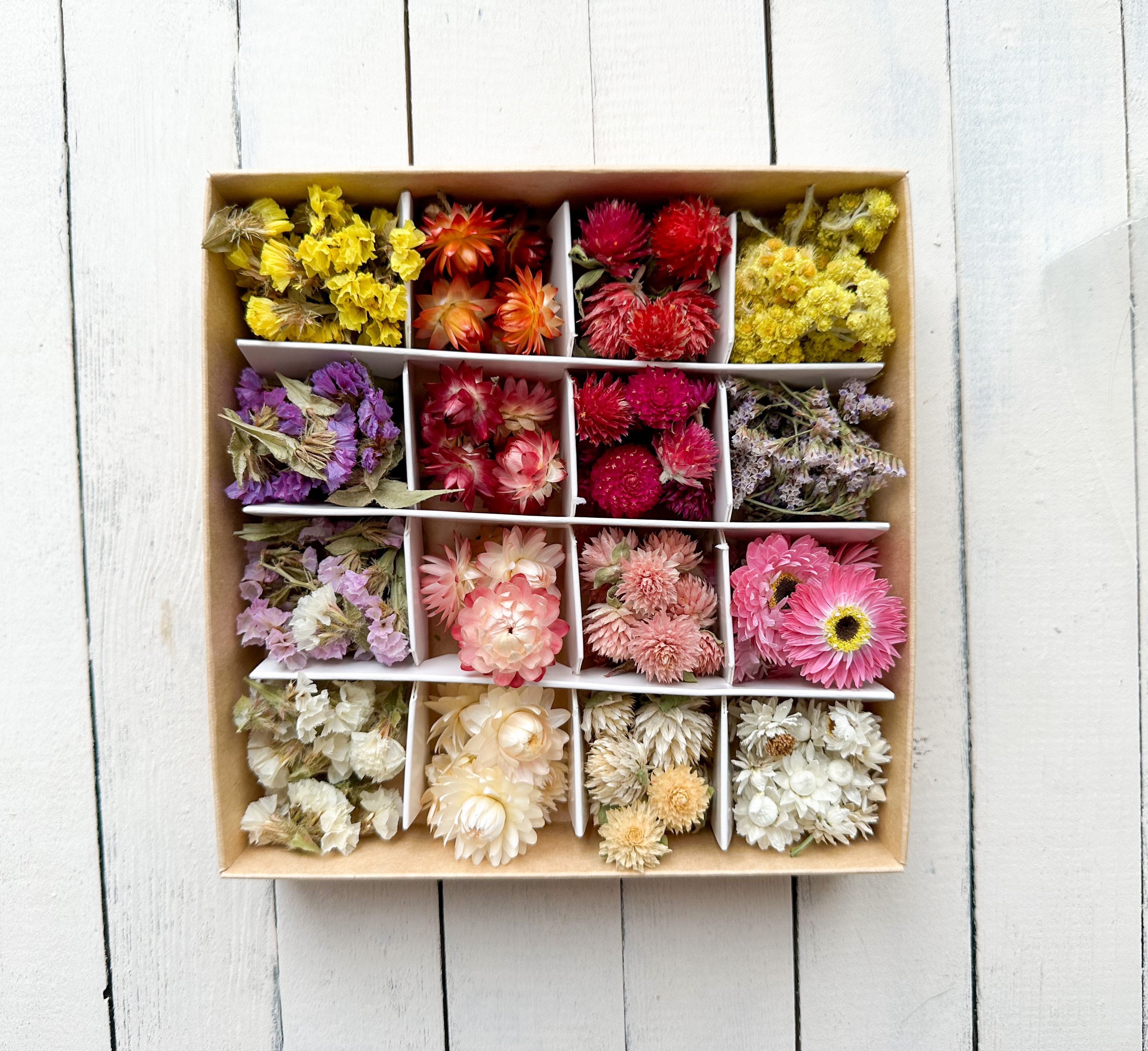 Craft Dried Flowers Box, Dried Flowers Confetti, Candle Making Kit, DIY ...