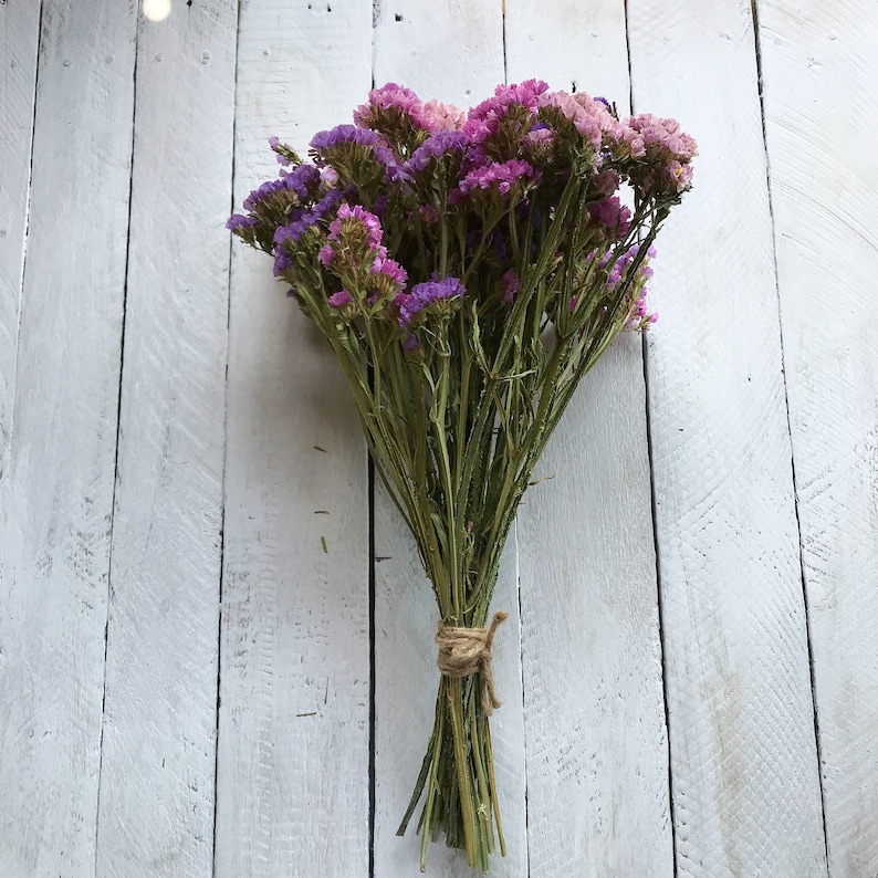 Dried Statice Bouquet Pink Limonium Dry Flower Bunch | Etsy