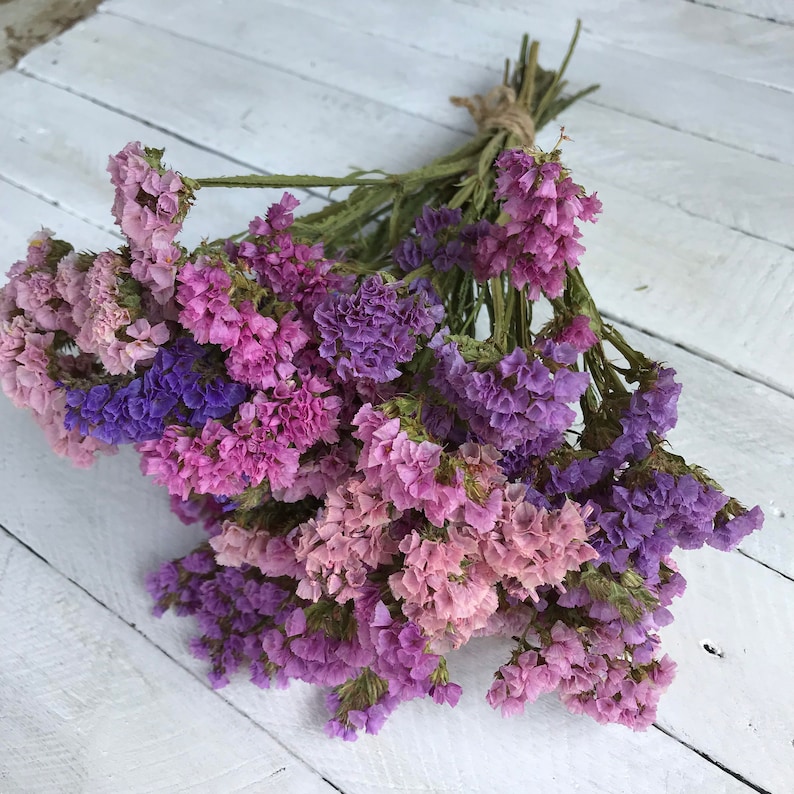 Dried Statice Bouquet Pink Limonium Dry Flower Bunch | Etsy