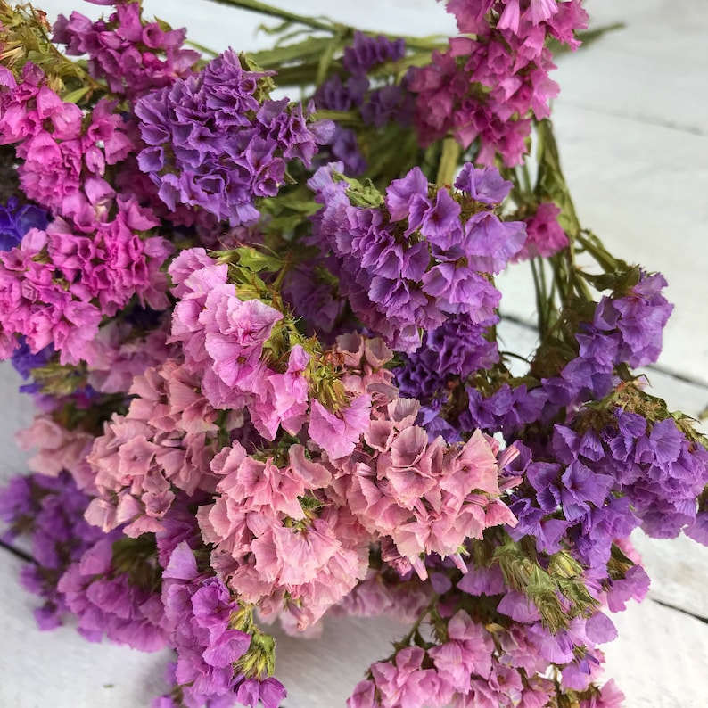 Dried Statice Bouquet Pink Limonium Dry Flower Bunch | Etsy