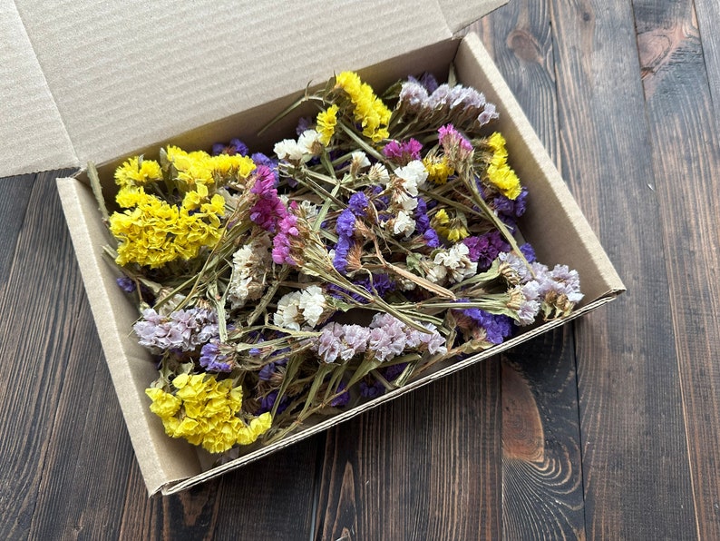 Dried Statice Heads Craft Box Resin Dried Flowers Craft - Etsy