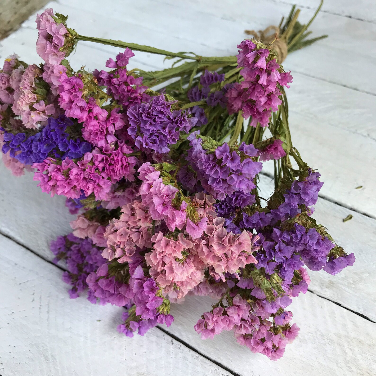 Dried Statice Bouquet Pink Limonium Dry Flower Bunch | Etsy