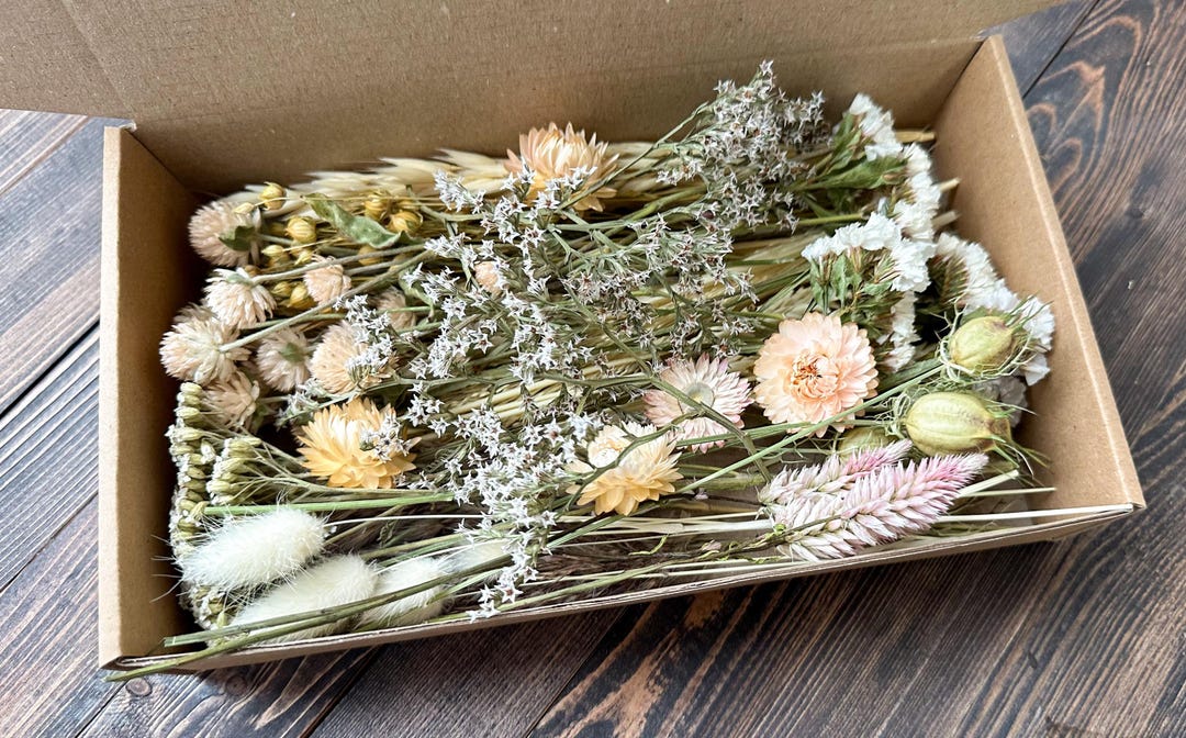Decor Craft Pack, Dried Flower Box, Mini Preserved Flower, Dry Flowers ...