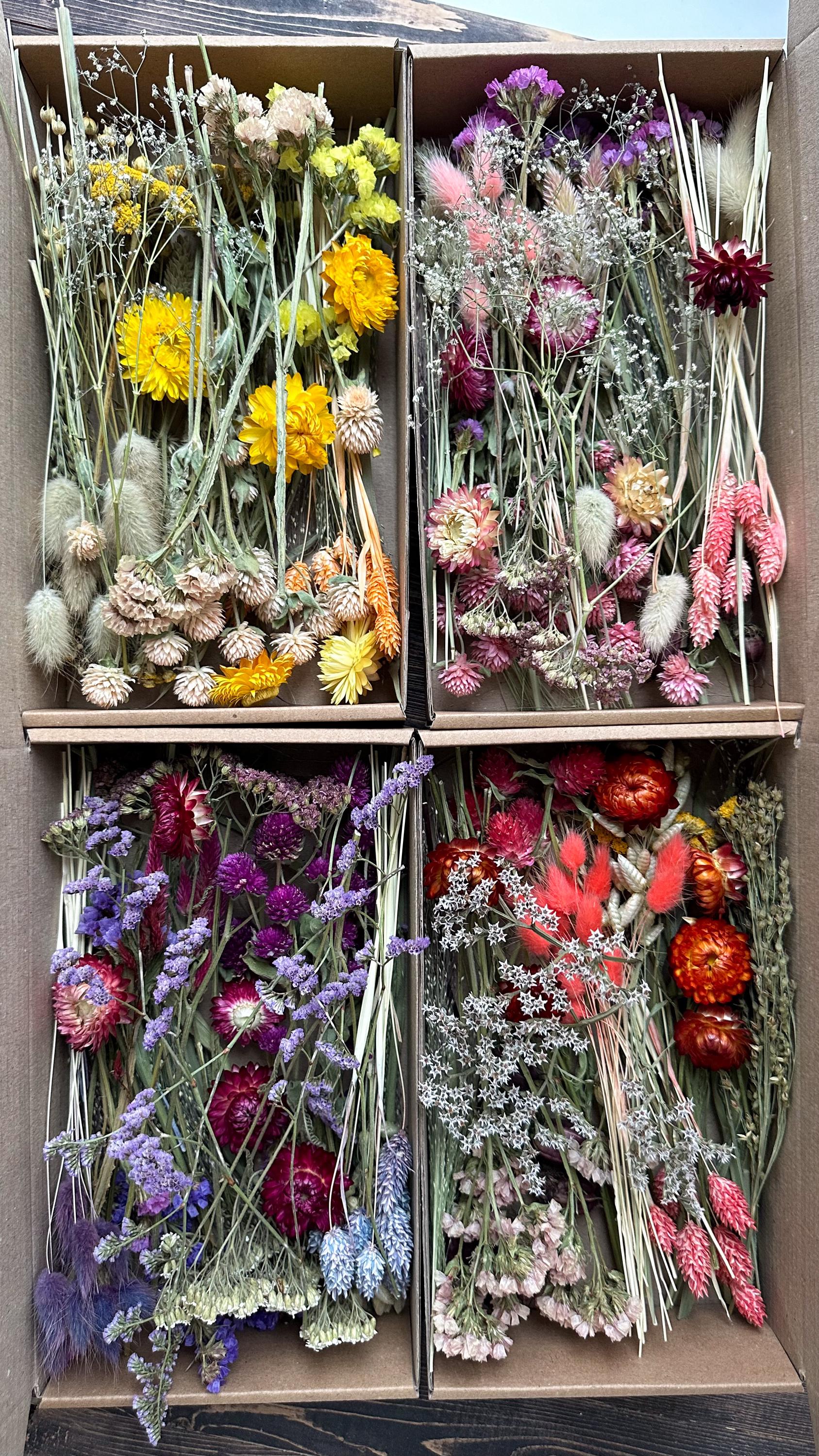 Dried Flower Box, Craft Pack, Mini Preserved Flower, Dry Flowers Epoxy ...