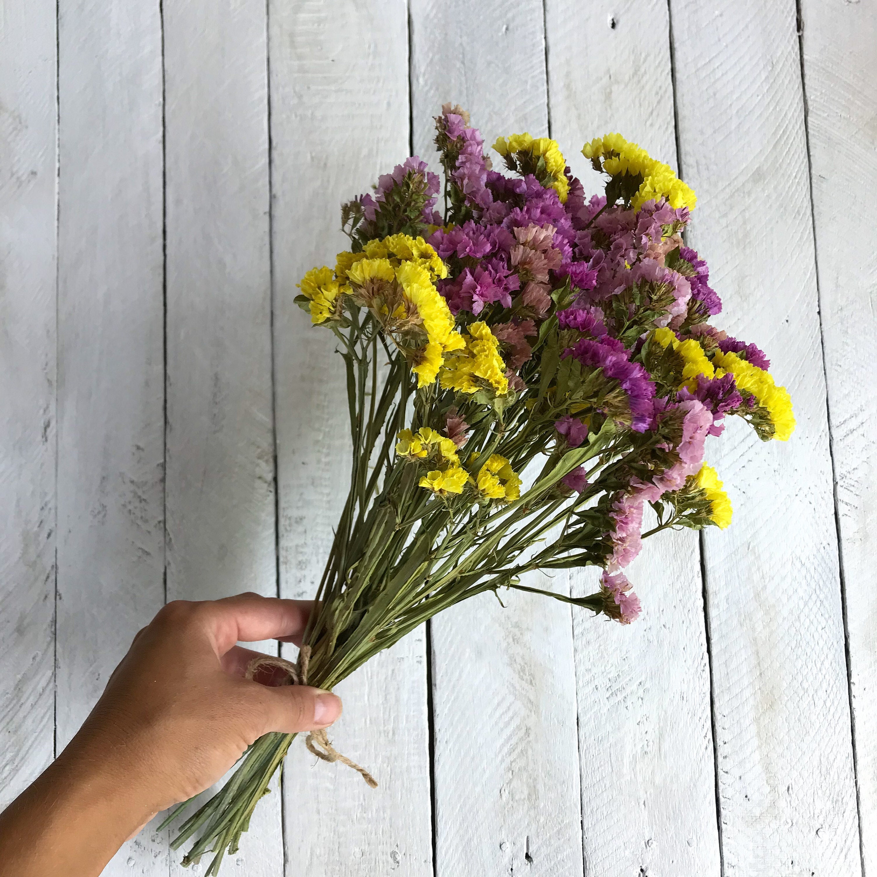 Statice ramos de flores secas manojo de flores secas | Etsy