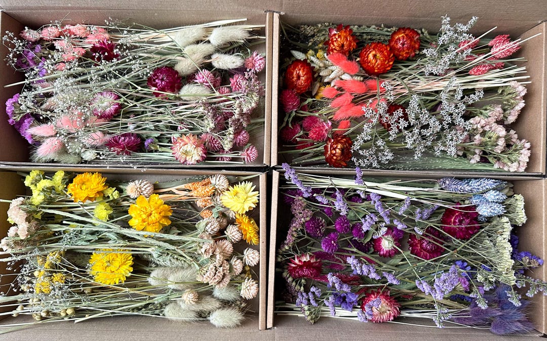 Dried Flower Box, Craft Pack, Mini Preserved Flower, Dry Flowers Epoxy ...