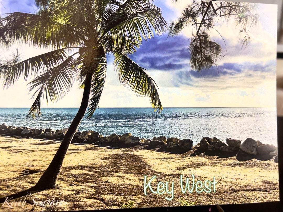 Key West Palm Tree Postcard, Landscape Postcard, Original Photography ...