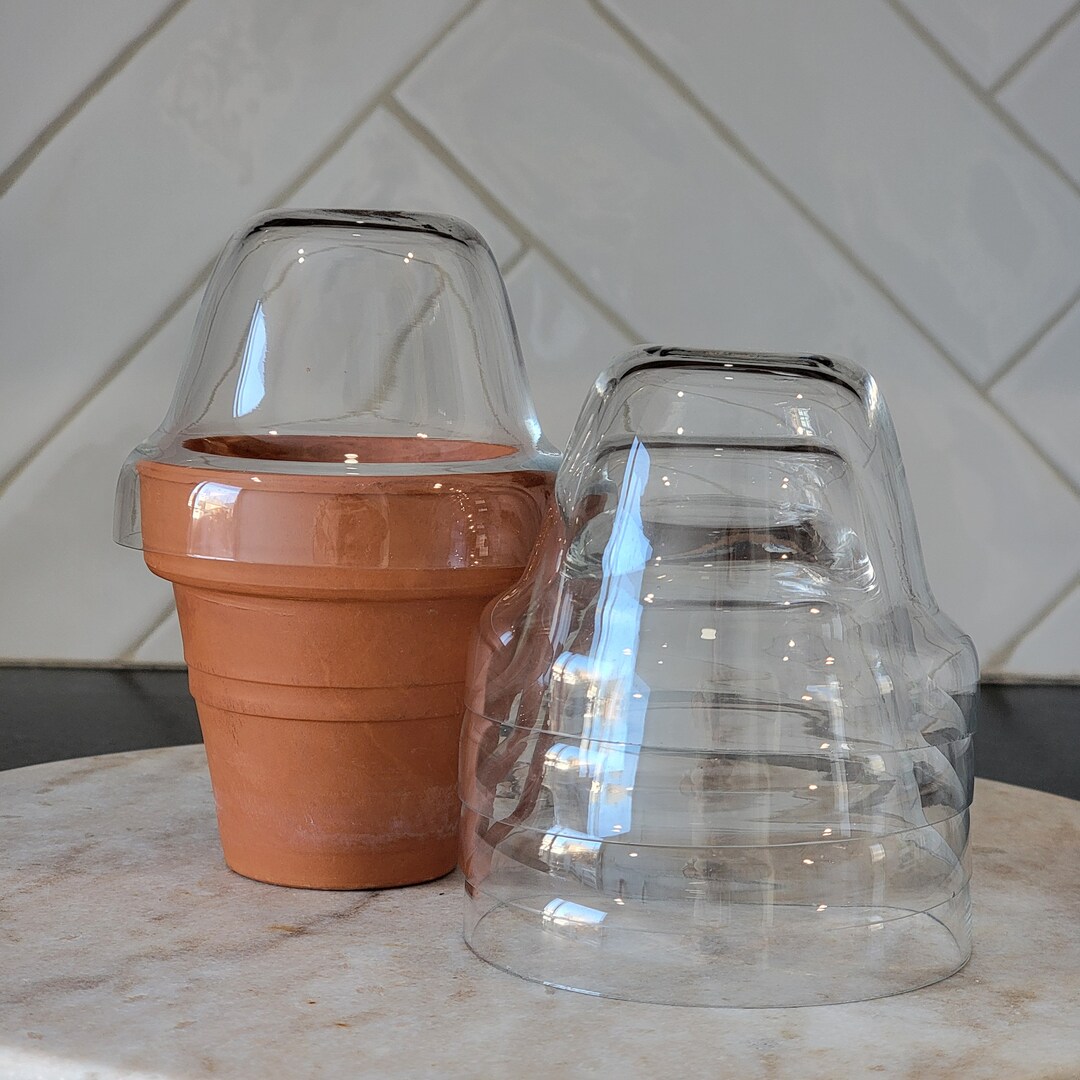 Five Sweet Mini Glass Terrariums for Seed Starting, Pretty Garden Decor ...