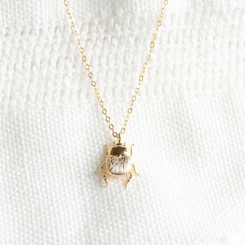 Beetle Necklace Lady Bug - Etsy