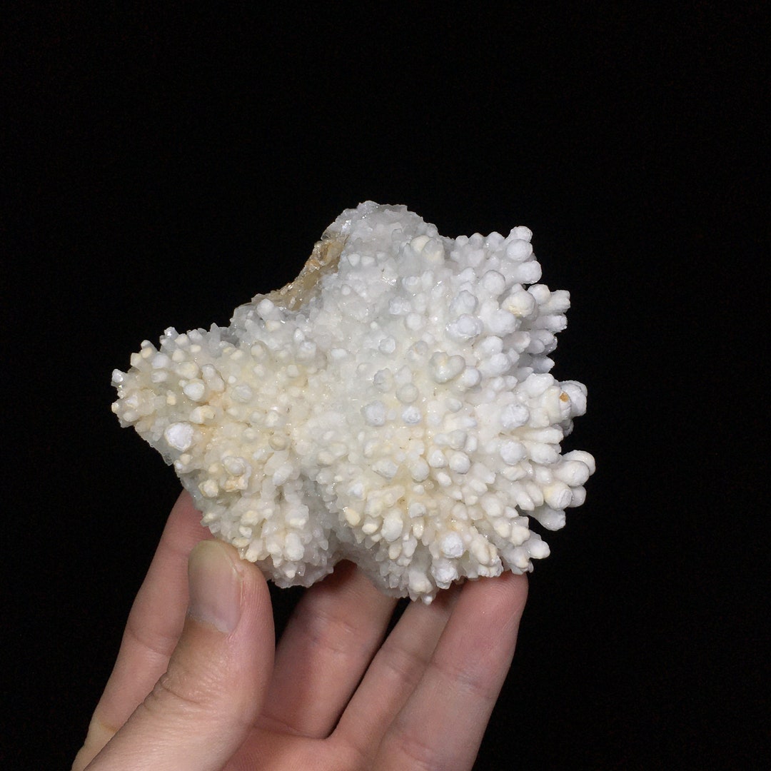 3.46 Stunning Gorgeous Natural Quality Stalactitum Mineral Specimen ...