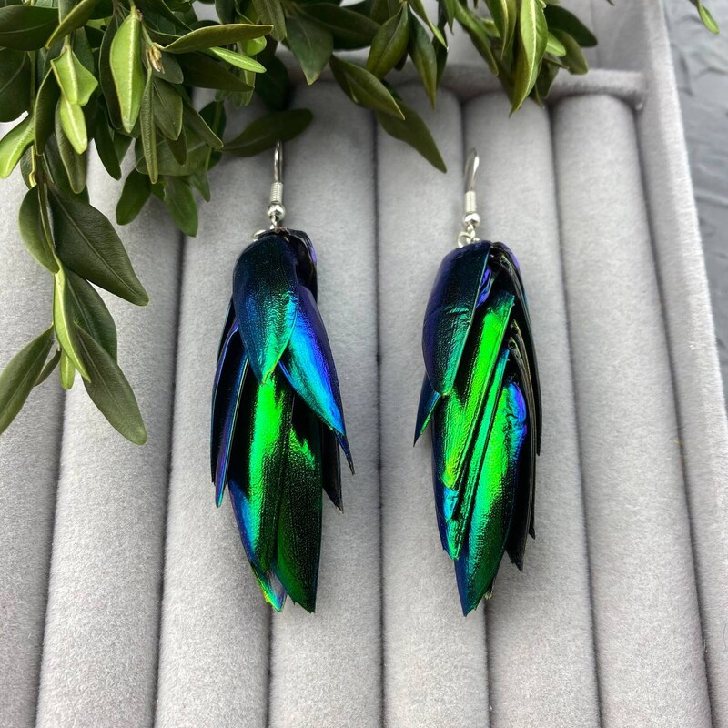 Jewel Beetle Wings - Etsy